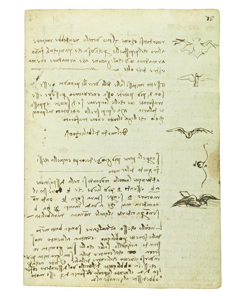 Codex on the Flight of Birds, Folio 15 Recto